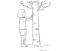Fun Sensory Awareness Exercise for Building Trust - Hug A Tree