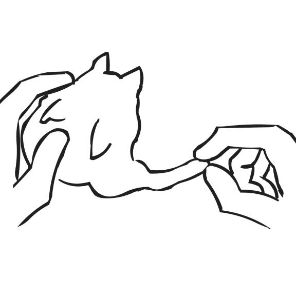 Three H Debrief - Simple, Structured & Focused Reflection Activity